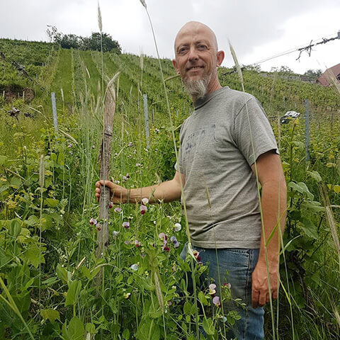 Christian Binner クリスチャン ・ ビネール / Elsassisch is Bombisch エルサシッシュ イズ ボン ...