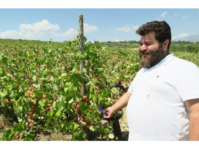 L'acino Giramondo / ラチーノ ジラモンド 2022 750ml 【自然派 イタリア カラーブリア 白】